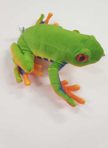 Elka Green Tree Frog Plush Toy Gift | The Lolly Barn